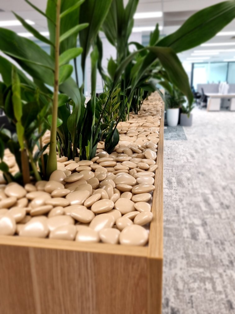 Office Plantscapes - Grolife Indoor Plantscapes