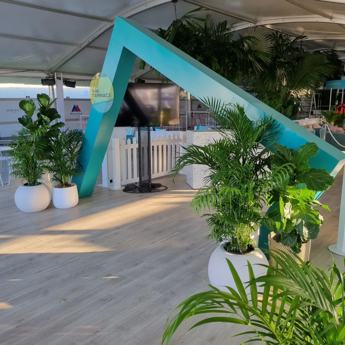 Top 5 Plants for Events - Grolife Indoor Plantscapes