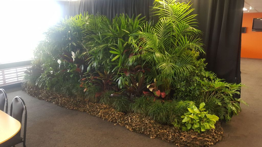 Event Hire Plants Brisbane | Grolife Plantscapes Plant Hire